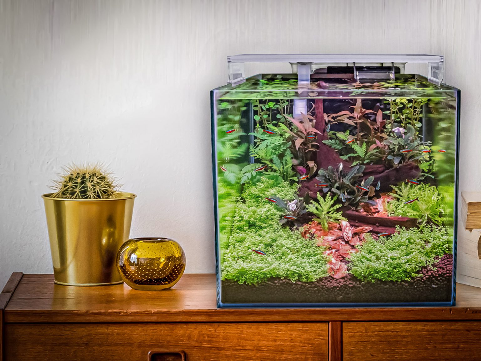 Super Fish - Scaper Kit / 45lt - 45x32x32cm - MyReptileShop